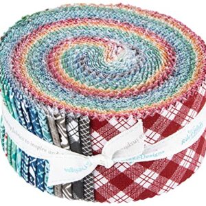 Lori Holt Bee Plaids Rolie Polie 40 2.5-inch Strips Jelly Roll Riley Blake Designs RP-12020-40