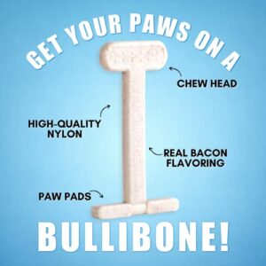 Bullibone Nylon Dog Chew Toy Nylon Bone - Improves Dental Hygiene, Easy to Grip Bottom, and Permeated with Flavor (Bacon, Small - Single)