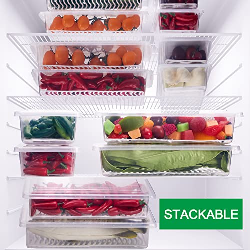 10 Pack Fruits Storage Organizer for Fridge with Lid and Removable Drain Plate 1.5 L Stackable Food Storage Produce Saver Container for Fridge to Keep Fruits Vegetables Meat Fish Fresh and Dry