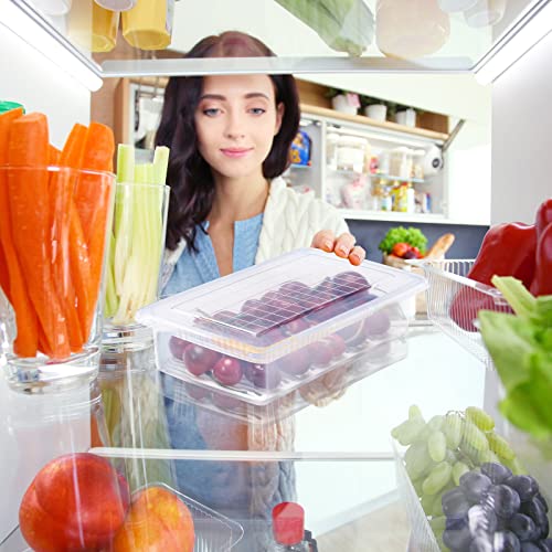 10 Pack Fruits Storage Organizer for Fridge with Lid and Removable Drain Plate 1.5 L Stackable Food Storage Produce Saver Container for Fridge to Keep Fruits Vegetables Meat Fish Fresh and Dry