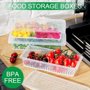 10 Pack Fruits Storage Organizer for Fridge with Lid and Removable Drain Plate 1.5 L Stackable Food Storage Produce Saver Container for Fridge to Keep Fruits Vegetables Meat Fish Fresh and Dry