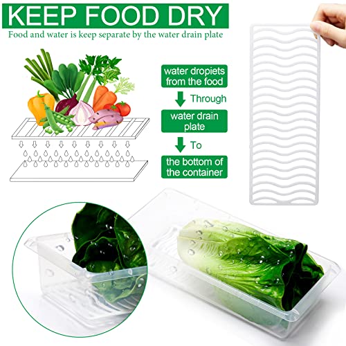 10 Pack Fruits Storage Organizer for Fridge with Lid and Removable Drain Plate 1.5 L Stackable Food Storage Produce Saver Container for Fridge to Keep Fruits Vegetables Meat Fish Fresh and Dry