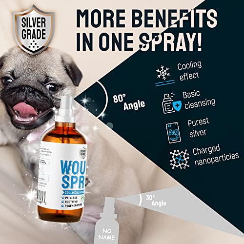 Wound Spray for Pets ● Colloidal Silver Wound and Skin Care for Dogs & Cats ● Helps with Rashes, Hot Spots, Itch, Scratching, Skin Irritation, Bites & Burns ● Safe if Licked (4 Oz, Wound Spray)