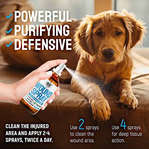 Wound Spray for Pets ● Colloidal Silver Wound and Skin Care for Dogs & Cats ● Helps with Rashes, Hot Spots, Itch, Scratching, Skin Irritation, Bites & Burns ● Safe if Licked (4 Oz, Wound Spray)