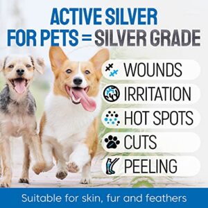 Wound Spray for Pets ● Colloidal Silver Wound and Skin Care for Dogs & Cats ● Helps with Rashes, Hot Spots, Itch, Scratching, Skin Irritation, Bites & Burns ● Safe if Licked (4 Oz, Wound Spray)