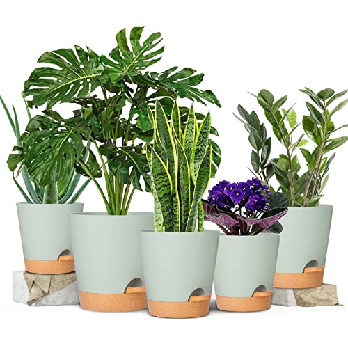 GARDIFE Plant Pots 7/6.5/6/5.5/5 Inch Self Watering Planters with Drainage Hole, Plastic Flower Pots, Nursery Planting Pot for All House Plants, African Violet, Flowers, and Cactus,Green