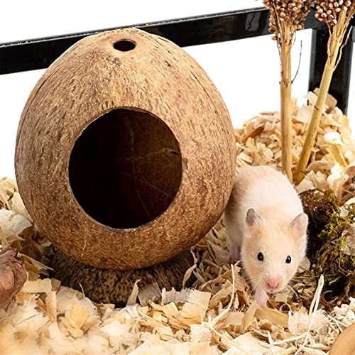 StellaOutletStore Hamster Hideout Coconut Hut Raw Coco Husk, Pet Hiding House, Climber or Chew Toy, Small Animal Cage Habitat Decor for Mice, Rats, Gerbils