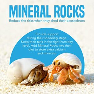 JOR Mineral Rocks for Hermit Crabs, Calcium-Rich for Stronger Shells and Pet’s Vitality, for Ideal Tank’s Humidity Level, Terrarium Décor, 2 oz.