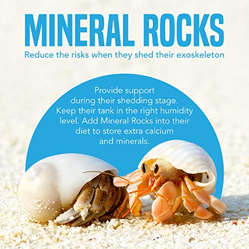 JOR Mineral Rocks for Hermit Crabs, Calcium-Rich for Stronger Shells and Pet’s Vitality, for Ideal Tank’s Humidity Level, Terrarium Décor, 2 oz.