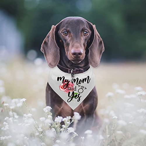 Family Kitchen Mom Said Yes Funny White Cotton Triangle Wedding Pet Dog Bandana, Dog Engagement Wedding Announcement Photo Props Accessories for Pet Dog Lovers Gifts