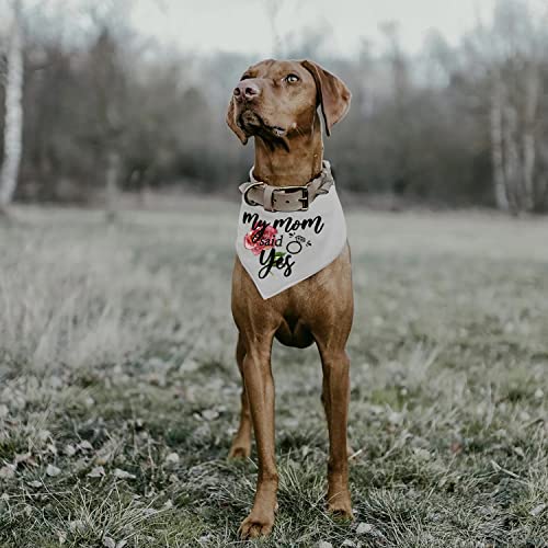 Family Kitchen Mom Said Yes Funny White Cotton Triangle Wedding Pet Dog Bandana, Dog Engagement Wedding Announcement Photo Props Accessories for Pet Dog Lovers Gifts