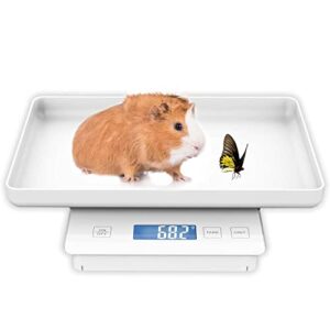 mindpet-med 11lbs/0.1g pet scale for small animal, whelping scale, guinea pig weighing scale, high precision 0.003oz, suitable for all newborn pets, kittens, turtles,