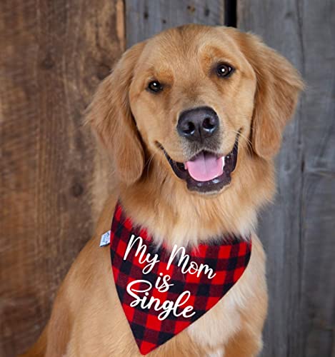 Family Kitchen My Mom is Single Funny Red Plaid Triangle Pet Dog Bandana, Photo Prop Pet Scarf for Pet Owner Lover Gift