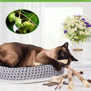 Silvervine Sticks for Cats, TINDTOP 10 Pack Natural Catnip Chew Toys for Kittens Teeth Cleaning, Matatabi Dental Care, Increase Appetite, Calm Cat Anxiety and Stress, Aggressive Chewers Cat Dental Toy