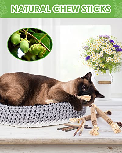 Silvervine Sticks for Cats, TINDTOP 10 Pack Natural Catnip Chew Toys for Kittens Teeth Cleaning, Matatabi Dental Care, Increase Appetite, Calm Cat Anxiety and Stress, Aggressive Chewers Cat Dental Toy