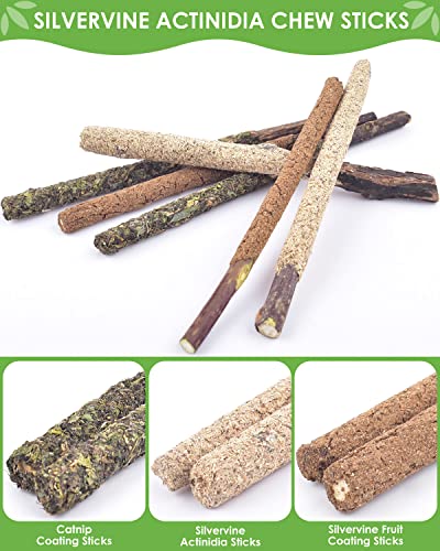 Silvervine Sticks for Cats, TINDTOP 10 Pack Natural Catnip Chew Toys for Kittens Teeth Cleaning, Matatabi Dental Care, Increase Appetite, Calm Cat Anxiety and Stress, Aggressive Chewers Cat Dental Toy