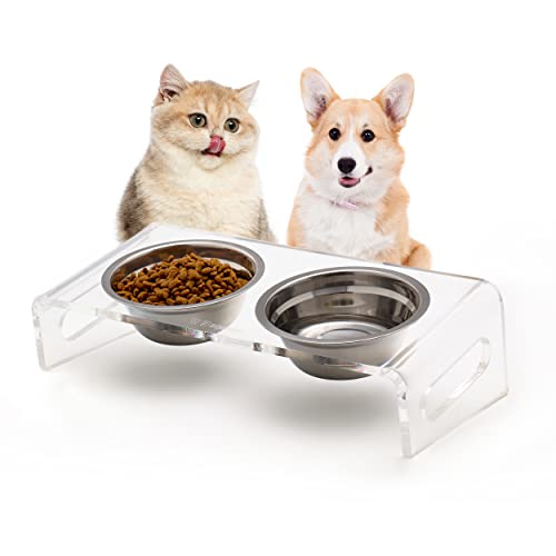 Tilted Raised Cat Bowls, Elevated 15° Orthopedic Bowls for Puppy or Small Dog, 4 Stainless Steel Pet Feeding Food Dishes Set, Durable Acrylic Stand, Easy to Clean, Also Perfect for Travel (Clear)