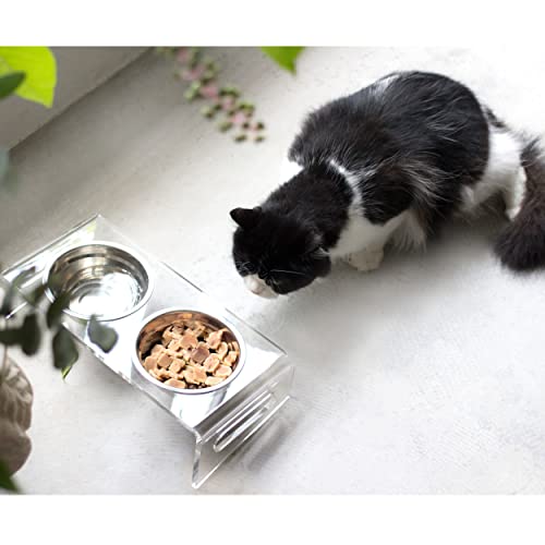 Tilted Raised Cat Bowls, Elevated 15° Orthopedic Bowls for Puppy or Small Dog, 4 Stainless Steel Pet Feeding Food Dishes Set, Durable Acrylic Stand, Easy to Clean, Also Perfect for Travel (Clear)