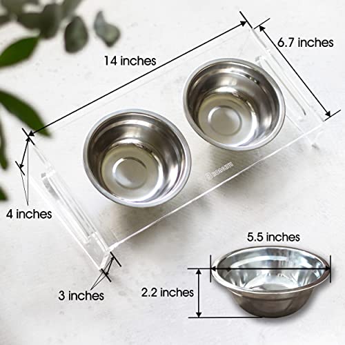 Tilted Raised Cat Bowls, Elevated 15° Orthopedic Bowls for Puppy or Small Dog, 4 Stainless Steel Pet Feeding Food Dishes Set, Durable Acrylic Stand, Easy to Clean, Also Perfect for Travel (Clear)