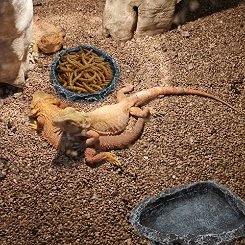 2 Pack Reptile Feeding Dish Corner Bowl, Reptile Water Dish Food Bowl, Amphibian Reptile Feeding Terrarium Bowls for Lizard Bearded Dragon Frog Gecko Tortoise Hermit Crab