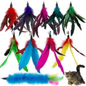 cateness cat feather toys replacement cat toy wand refills, 10 pieces cat feathers refill, interactive cat wand toy replacement feather for indoor cats