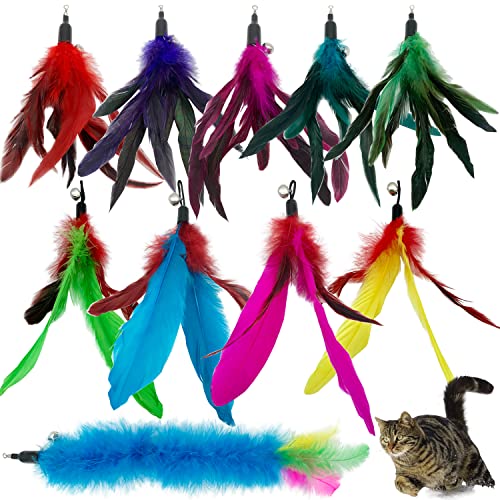 CATENESS Cat Feather Toys Replacement Cat Toy Wand Refills, 10 Pieces Cat Feathers Refill, Interactive Cat Wand Toy Replacement Feather for Indoor Cats