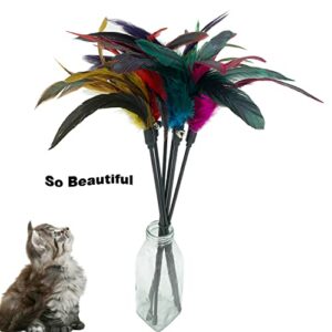 CATENESS Cat Wand Toy Feather Stick Cat Toys, 6 PCS Cat Feathers Wand Toy, Interactive Cat Toy Feather Wand for Indoor Cats