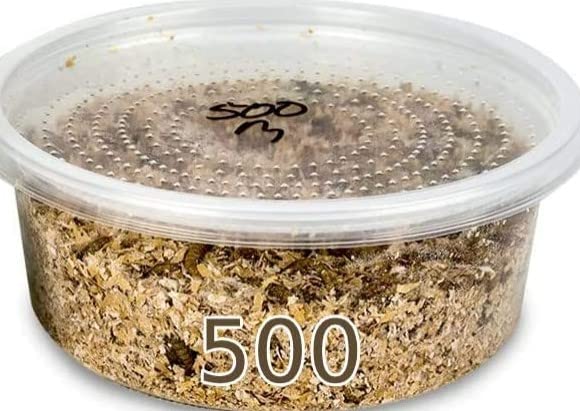 Surmen Legacy 500ct Live Mealworms with Bait Cup with Food/Bedding