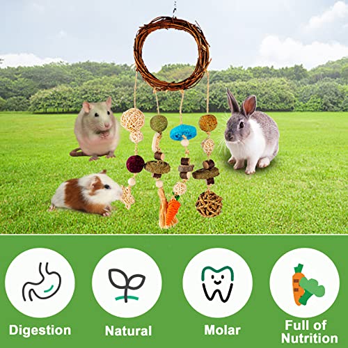 Small Pet Bunny Chew Toys, Bunny Cage Hanging Chew Toys, Handmade Rattan Ring Toys with All Natural Snacks for Bunnies Chinchillas Hamsters Guinea Pigs Teeth Grinding Exercise and Fun