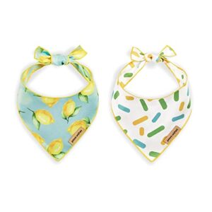 paws wishes dog bandana 2 pack, lemon fruit and candy set lemon festival, pet friendly design, hair and water resistant, adjustable dog scarf for small boy girl dog