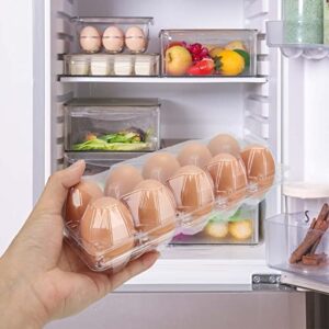 ZOFORTY 60 Pack Plastic Egg Cartons Bulk Empty Clear Chicken Egg Tray Disposable Egg Carton Holder for Chicken Farm, Refrigerator Storage, Family Pasture (10 Grids)