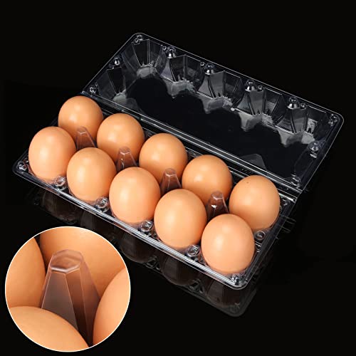 ZOFORTY 60 Pack Plastic Egg Cartons Bulk Empty Clear Chicken Egg Tray Disposable Egg Carton Holder for Chicken Farm, Refrigerator Storage, Family Pasture (10 Grids)