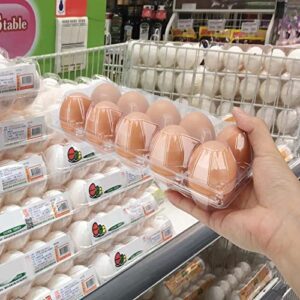 ZOFORTY 60 Pack Plastic Egg Cartons Bulk Empty Clear Chicken Egg Tray Disposable Egg Carton Holder for Chicken Farm, Refrigerator Storage, Family Pasture (10 Grids)