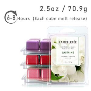 LA BELLEFÉE Wax Melts and Wax Warmer Gift Set