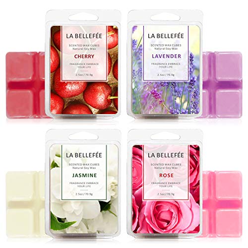 LA BELLEFÉE Wax Melts and Wax Warmer Gift Set