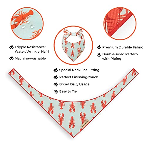 Paws Wishes Dog Bandana 2 Pack, American Lobster and Coral Stripes Set Holiday in Maine, Pet Friendly Design, Hair and Water Resistant, Adjustable Dog Scarf for Small Boy Girl Dog