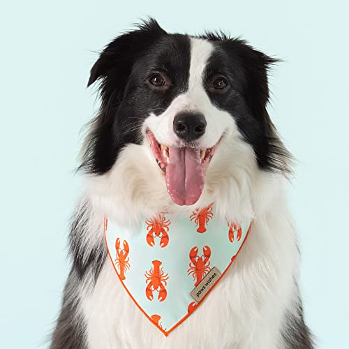 Paws Wishes Dog Bandana 2 Pack, American Lobster and Coral Stripes Set Holiday in Maine, Pet Friendly Design, Hair and Water Resistant, Adjustable Dog Scarf for Small Boy Girl Dog