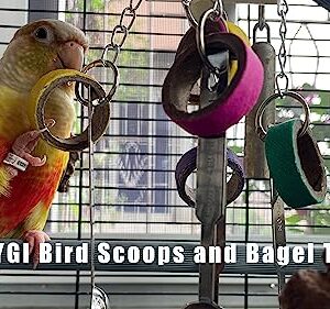 GILYGI Durable Bird Parrots Scoops and Bagel Toys, Pullable Stainless Steel Spoon and Cardboard Ring Toys for Small and Medium Bird Parakeets, Cockatiels, Conures, Budgie, Lovebirds, Finches