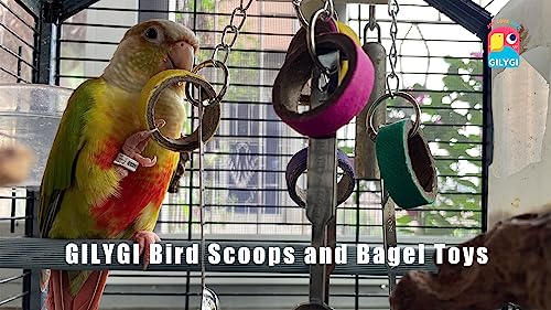 GILYGI Durable Bird Parrots Scoops and Bagel Toys, Pullable Stainless Steel Spoon and Cardboard Ring Toys for Small and Medium Bird Parakeets, Cockatiels, Conures, Budgie, Lovebirds, Finches