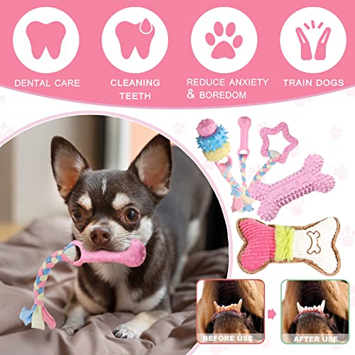 UETZLTB Puppy Chew Toys for Teething Small Dogs 5 Pack Puppy Toys Small Dog Chew Toys for Puppies Interactive Rubber Puppy Dog Teething Toys for Teeth Cleaning Funny Cute Soft Plush Squeaky Dog Toy