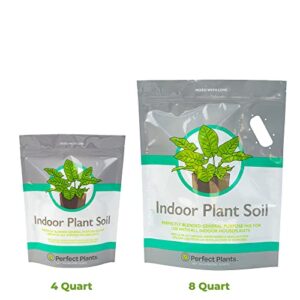 Perfect Plants Indoor Plant Soil 4qt | Perfectly Balanced Potting Mix | Gardening Substrate for All Varieties of Live houseplants