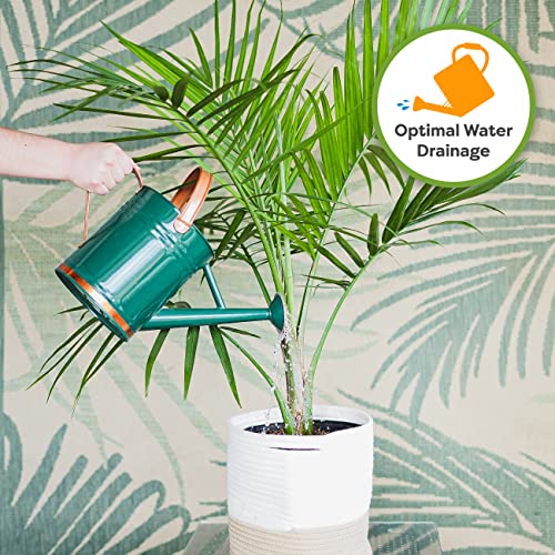 Perfect Plants Indoor Plant Soil 4qt | Perfectly Balanced Potting Mix | Gardening Substrate for All Varieties of Live houseplants