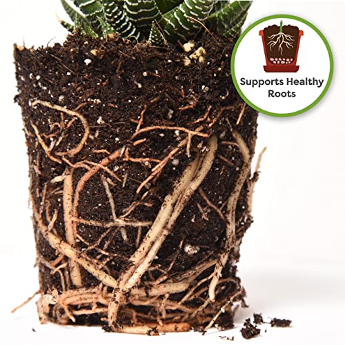 Perfect Plants Indoor Plant Soil 4qt | Perfectly Balanced Potting Mix | Gardening Substrate for All Varieties of Live houseplants