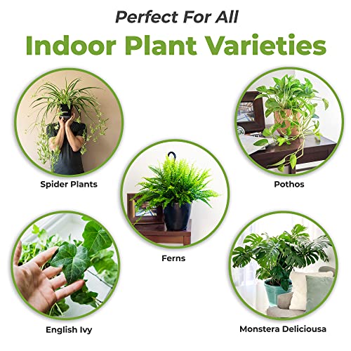 Perfect Plants Indoor Plant Soil 4qt | Perfectly Balanced Potting Mix | Gardening Substrate for All Varieties of Live houseplants