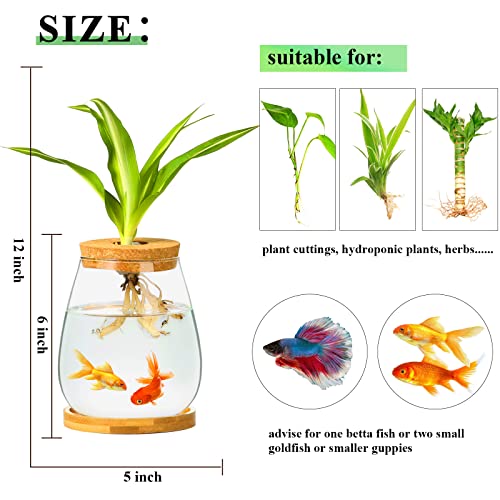 Desktop Fish Bowl Clear Glass Small Fish Tank with Wood Lid and Bamboo Stand for Betta Fish Plants Terrarium Home Office Decoration Gifts