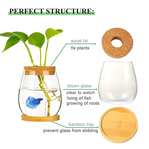 Desktop Fish Bowl Clear Glass Small Fish Tank with Wood Lid and Bamboo Stand for Betta Fish Plants Terrarium Home Office Decoration Gifts