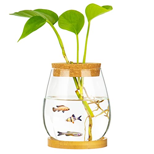 Desktop Fish Bowl Clear Glass Small Fish Tank with Wood Lid and Bamboo Stand for Betta Fish Plants Terrarium Home Office Decoration Gifts