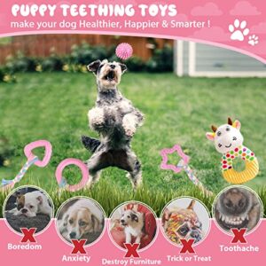 AXIIJGL 5 Pack Puppy Chew Toys Pink Puppy Rubber Teething Toys Girl Dog Toys for Small Breed Dogs Squeaky Plush Teething Cleaning Toys for Puppies Doggie Toys for Puppy Pet Toys for Small Dogs