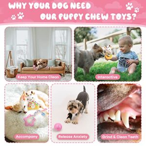 AXIIJGL 5 Pack Puppy Chew Toys Pink Puppy Rubber Teething Toys Girl Dog Toys for Small Breed Dogs Squeaky Plush Teething Cleaning Toys for Puppies Doggie Toys for Puppy Pet Toys for Small Dogs