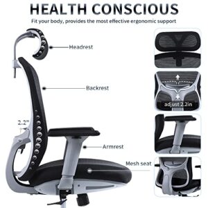 KARXAS Ergonomic Office Chair High Back Desk Chair with Adjustable Lumbar Support, Headrest & 3D Metal Armrest - 130° Rocking Mesh Computer Chair（Black&Grey）